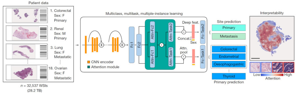 Brigham and Women's Hospital, Division of – Computational Pathology